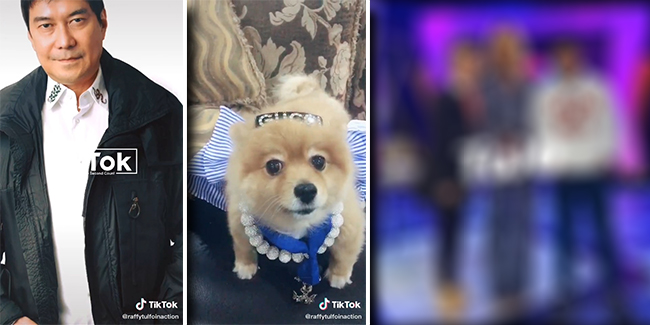 Raffy Tulfo Enters TikTok, Shares Videos On His Account