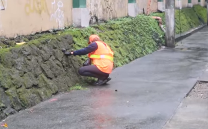 DPWH Worker Earns Praises For Removing “Lumot” in Front of Public Hospital