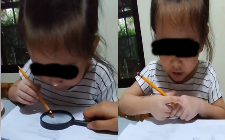 Adorable Video of Young Girl Answering Module w/ Good Reasoning Goes Viral