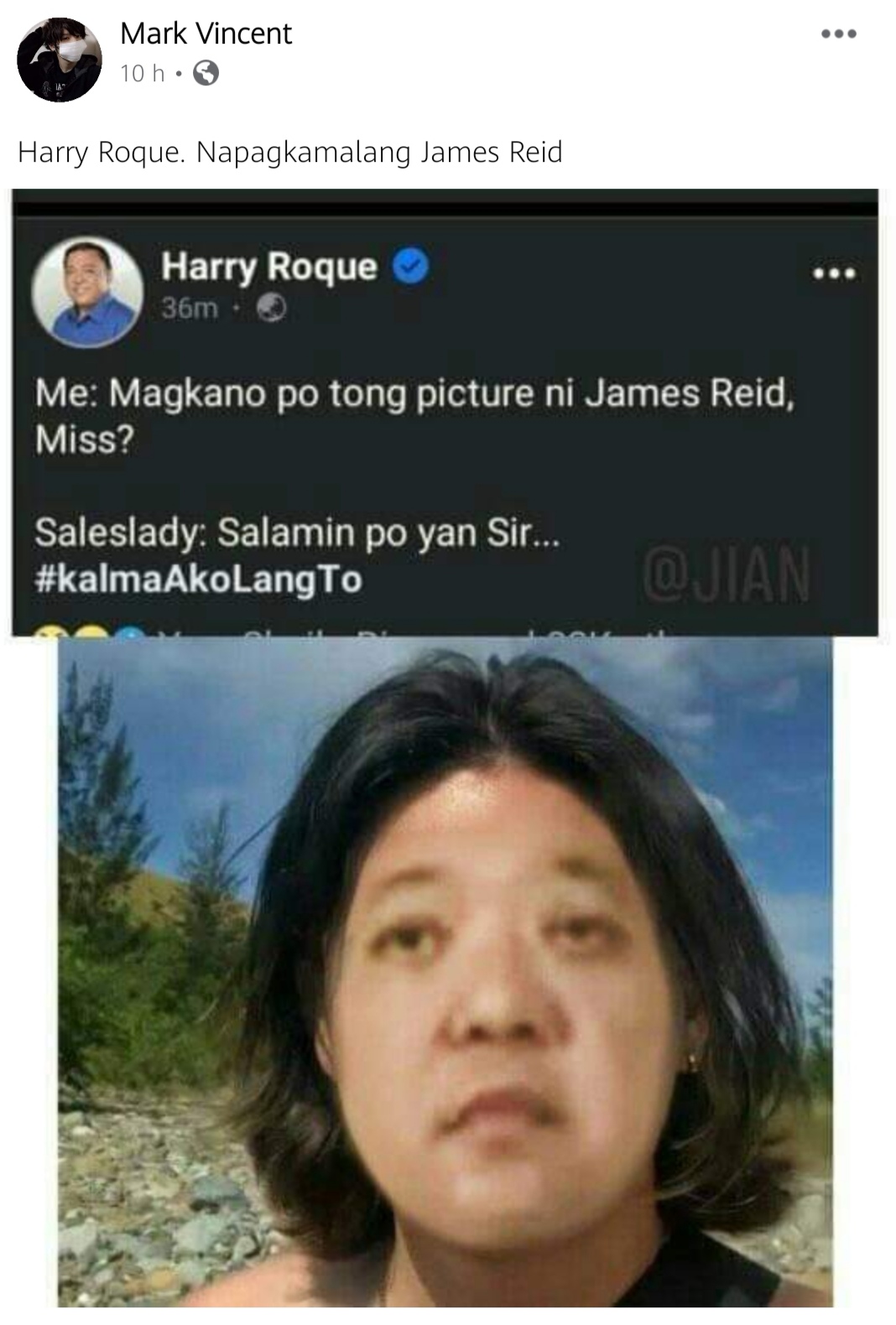 Harry Roque Jokes on Looking Like James Reid; Netizens React