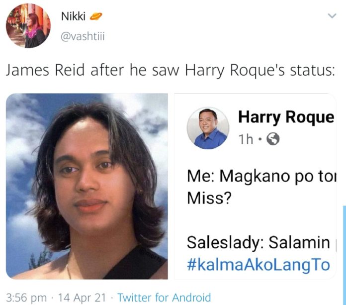 Harry Roque Jokes on Looking Like James Reid; Netizens React