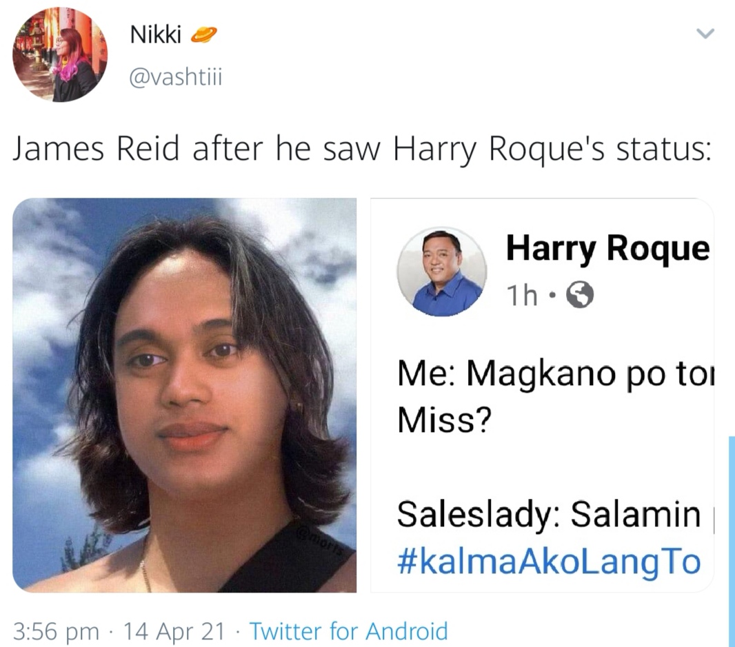 Harry Roque Jokes on Looking Like James Reid; Netizens React
