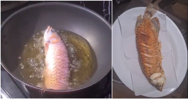 Furious Woman Cooks Her Husband’s Expensive Arowana Fish