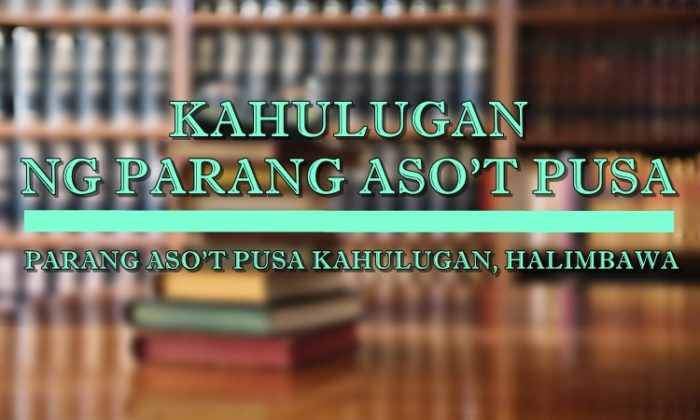Parang Aso’t Pusa – Kahulugan At Halimbawa Nito