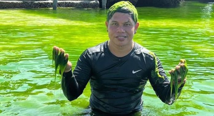 'Lumot' Covers Part of Beach in Boracay