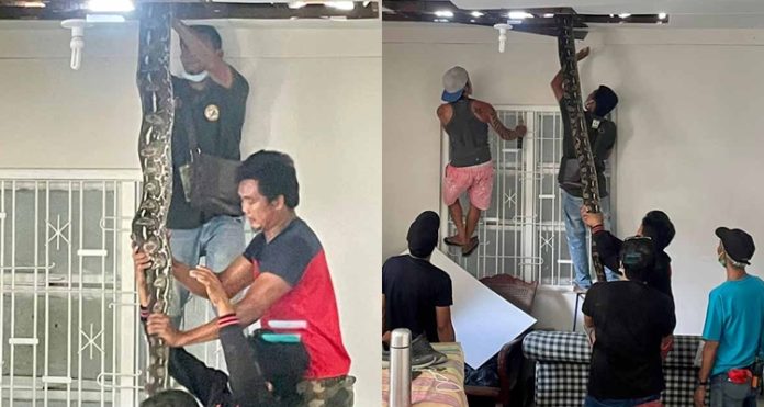 15-Foot Python Found in the Ceiling of a House in Batangas City