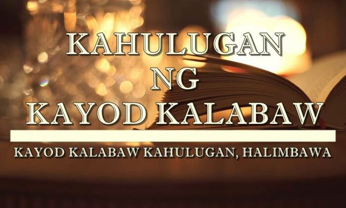 Kayod Kalabaw Kahulugan At Mga Halimbawang Pangungusap