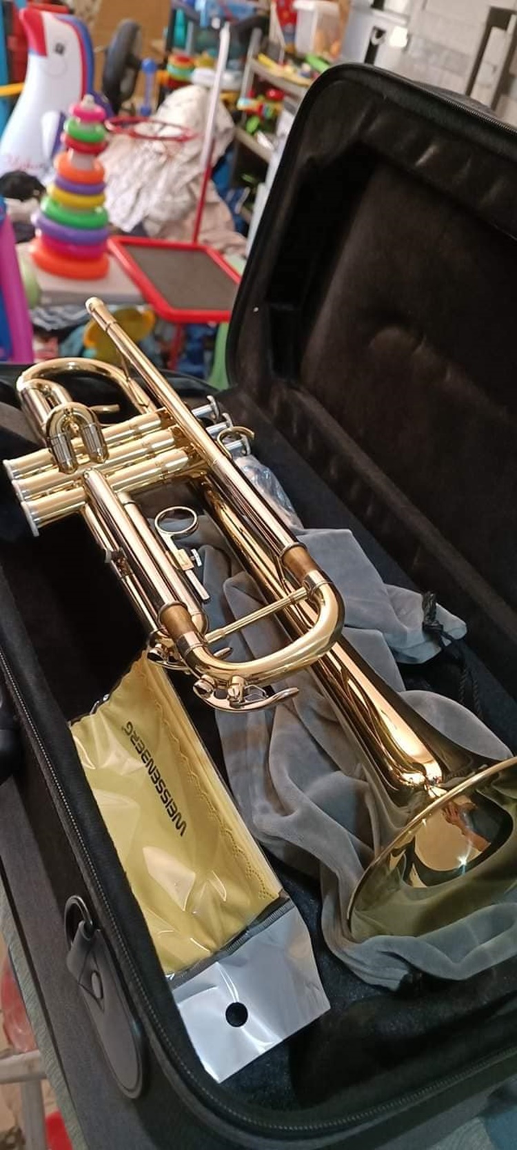 Cali Island Band Member Recovers Trumpet After Losing It