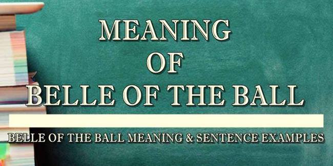 Belle Of The Ball Meaning & Sentence Examples