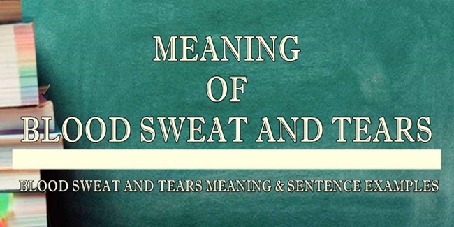 Blood, Sweat, And Tears Meaning & Sentence Examples