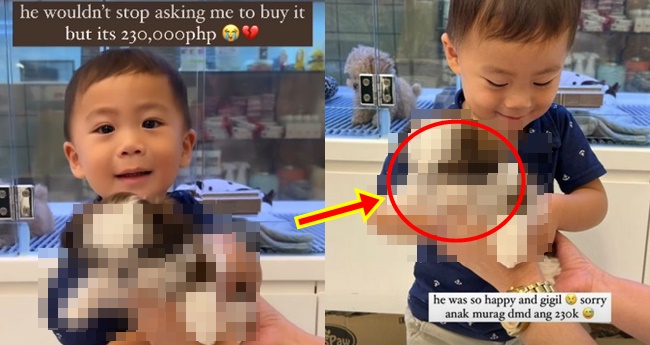 Slater Young, Kryz Uy's Son Scottie Wants Puppy worth 230K