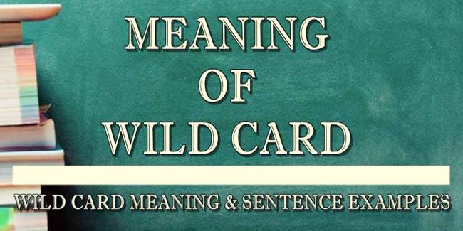 Wild Card Meaning & Sentence Examples