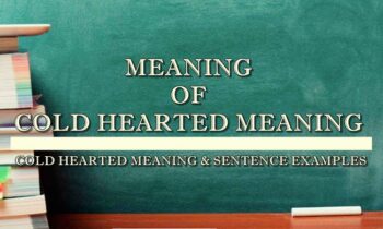 Cold Hearted Meaning & Sentence Examples