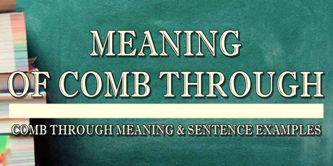 Comb Through Meaning & Sentence Examples