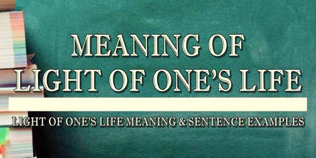 Light Of One’s Life Meaning & Sentence Examples