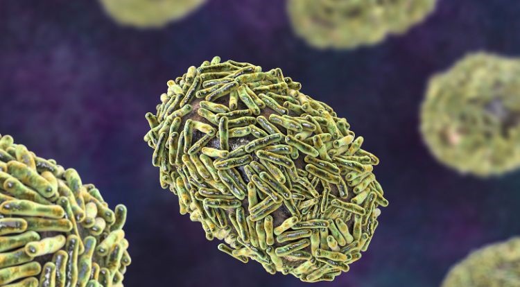 MPOX Is New Name for Monkeypox To Fight Stigma, WHO Announced