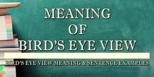 Bird’s Eye View Meaning & Sentence Examples