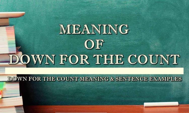Down For The Count Meaning Sentence Examples Down For The Count Meaning Sentence Examples