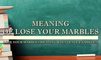 Lose Your Marbles Meaning & Sentence Examples