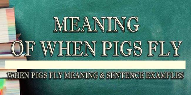When Pigs Fly Meaning & Sentence Examples When Pigs Fly Meaning & Sentence Examples