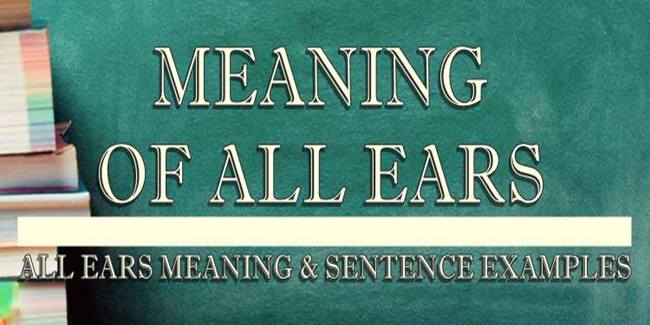 All Ears Meaning & Sentence Examples