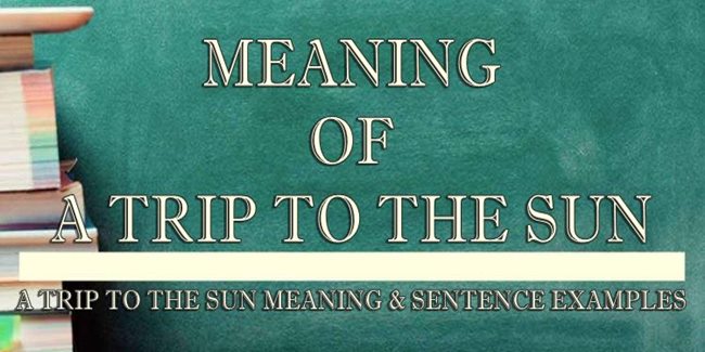 A Trip To The Sun Meaning & Sentence Examples