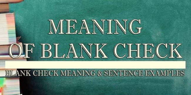 Blank Check Meaning & Sentence Examples