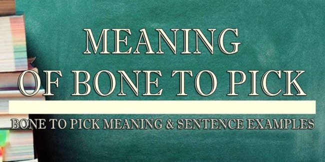 Bone to Pick Meaning & Sentence Examples