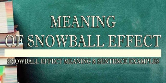 Snowball Effect Meaning And Sentence Examples