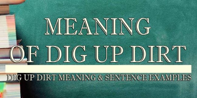 Dig Up Dirt Meaning & Sentence Examples