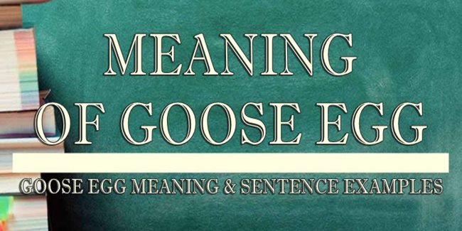 Goose Egg Meaning & Sentence Examples