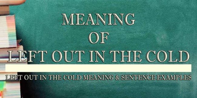 Left Out In The Cold Meaning & Sentence Examples