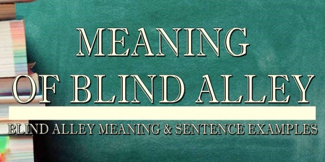 Blind Alley Meaning & Sentence Examples