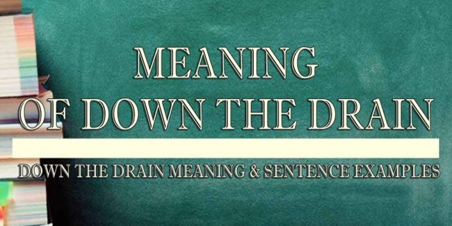 Down The Drain Meaning & Sentence Examples