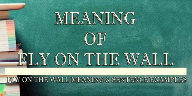 Fly On The Wall Meaning & Sentence Examples
