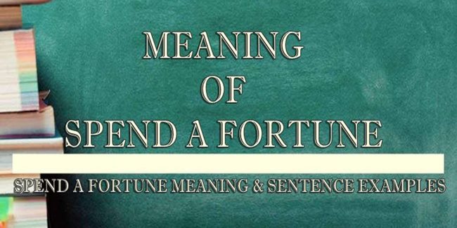 Spend A Fortune Meaning & Sentence Examples