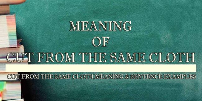 Cut From The Same Cloth Meaning & Sentence Examples