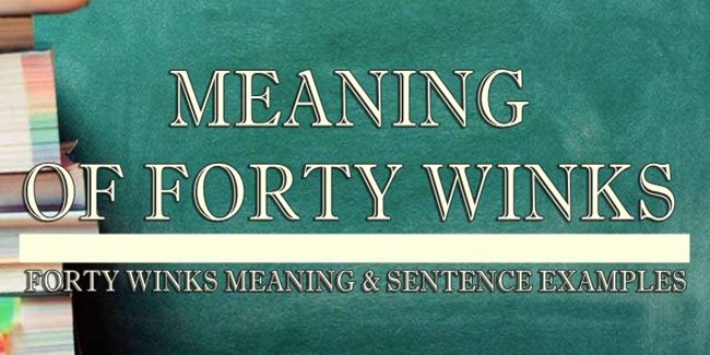 Forty Winks Meaning & Sentence Examples