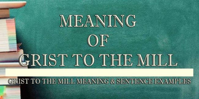 Grist To The Mill Meaning & Sentence Examples