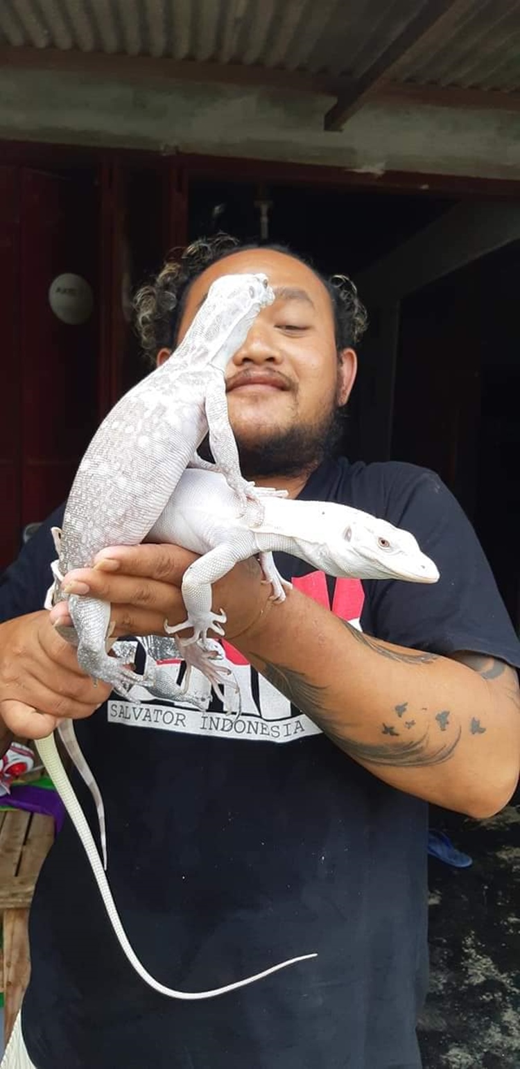 Netizen Flexes Rare Water Monitor Lizards: "Epic!"