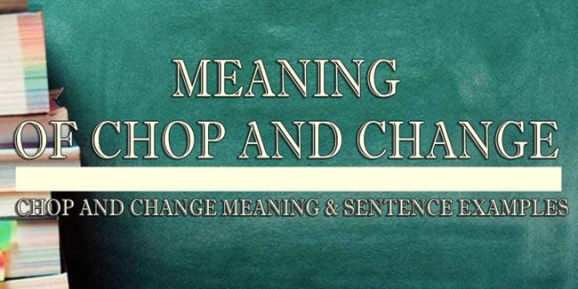 Chop And Change Meaning & Sentence Examples