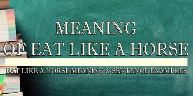 Eat Like A Horse Meaning & Sentence Examples