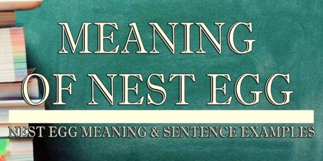 Nest Egg Meaning & Sentence Examples