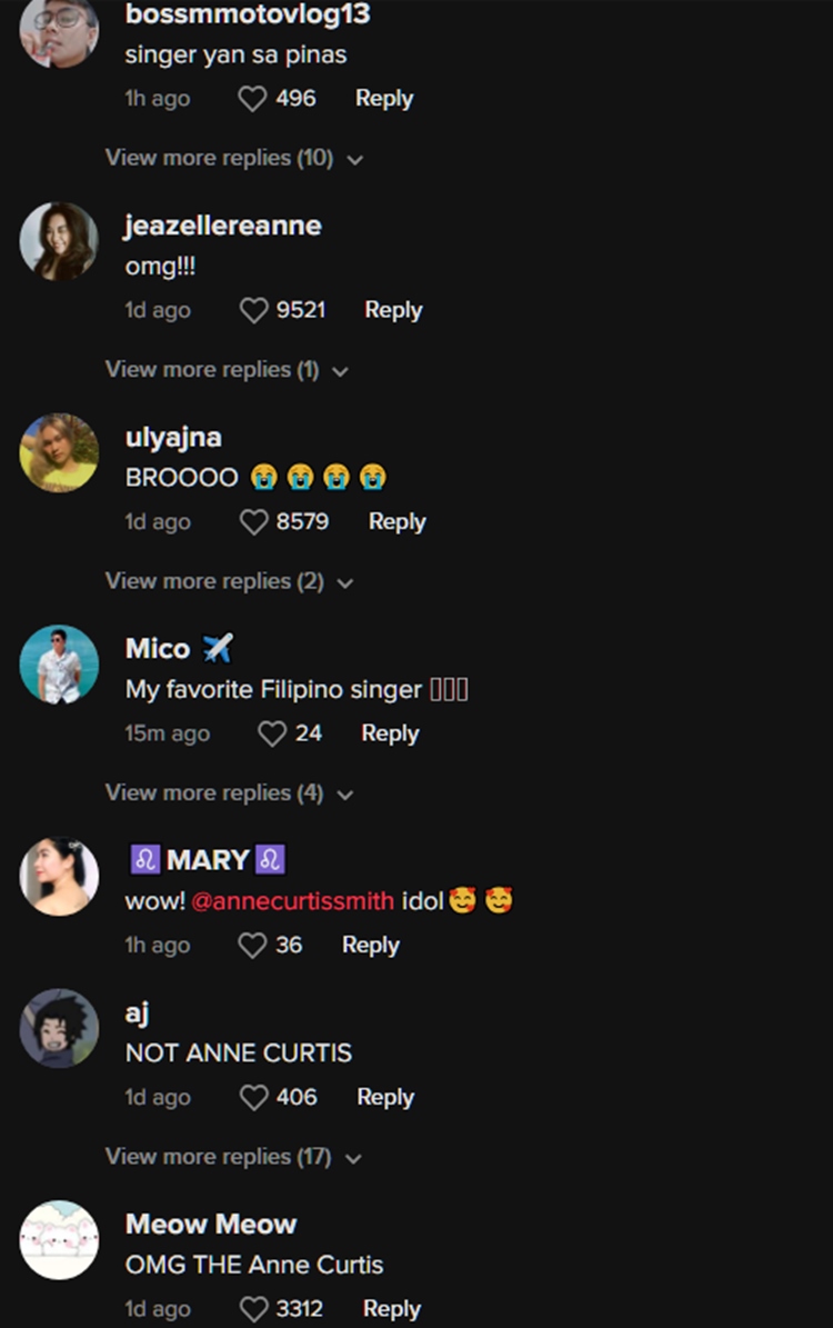 TikToker Clueless He's Interviewing Anne Curtis