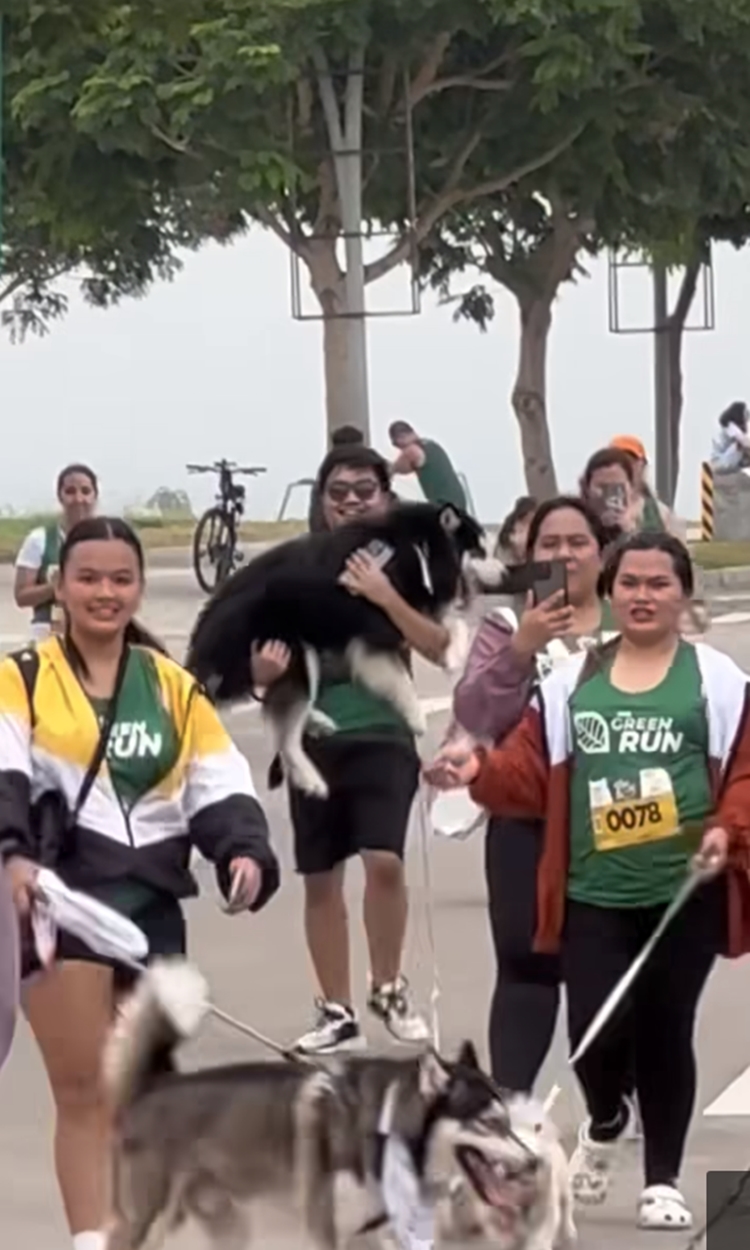 Dog Fun Run Turns Out to Be 'Dog Buhat Walk'