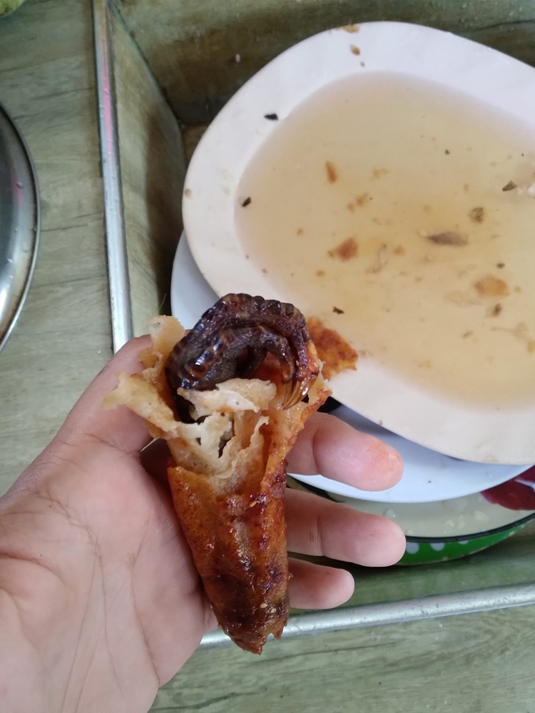 Customer Disappointed as Turon Turns Out to Contain Chicken Feet