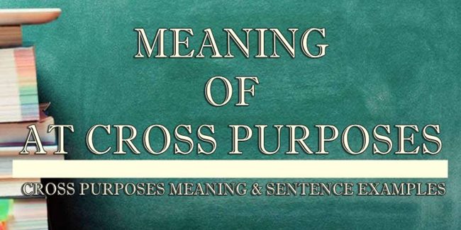 At Cross Purposes Meaning & Sentence Examples