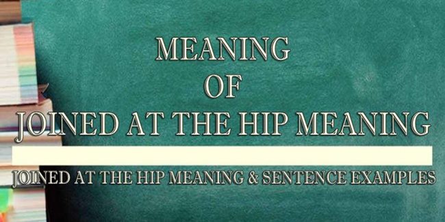Joined At The Hip Meaning & Sentence Examples