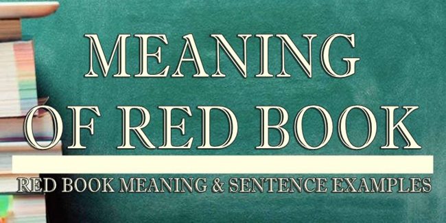 Red Book Meaning & Sentence Examples
