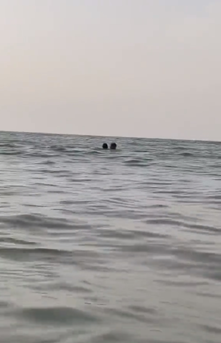 Man Hailed as Hero for Saving Someone Drowning